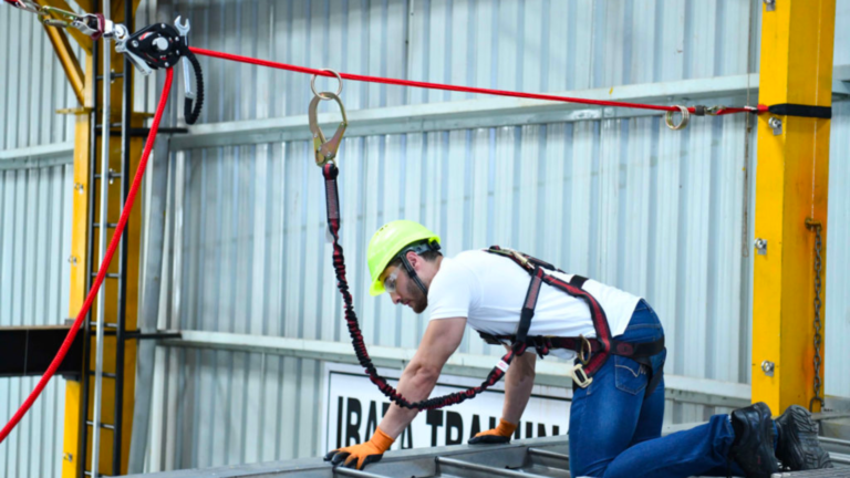 Anchoring Progress: How Temporary Lifeline Programs Shape the ...